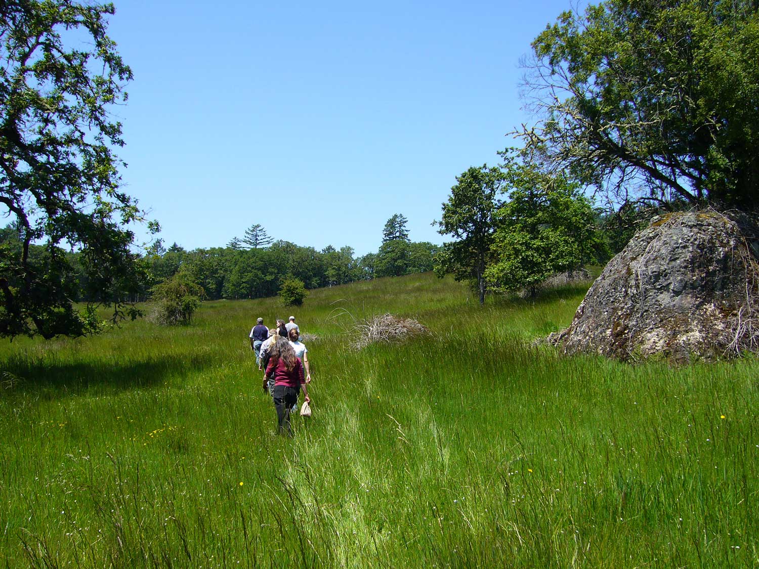Yamhill County Upland Oak Restoration Partnership - Pacific Northwest ...