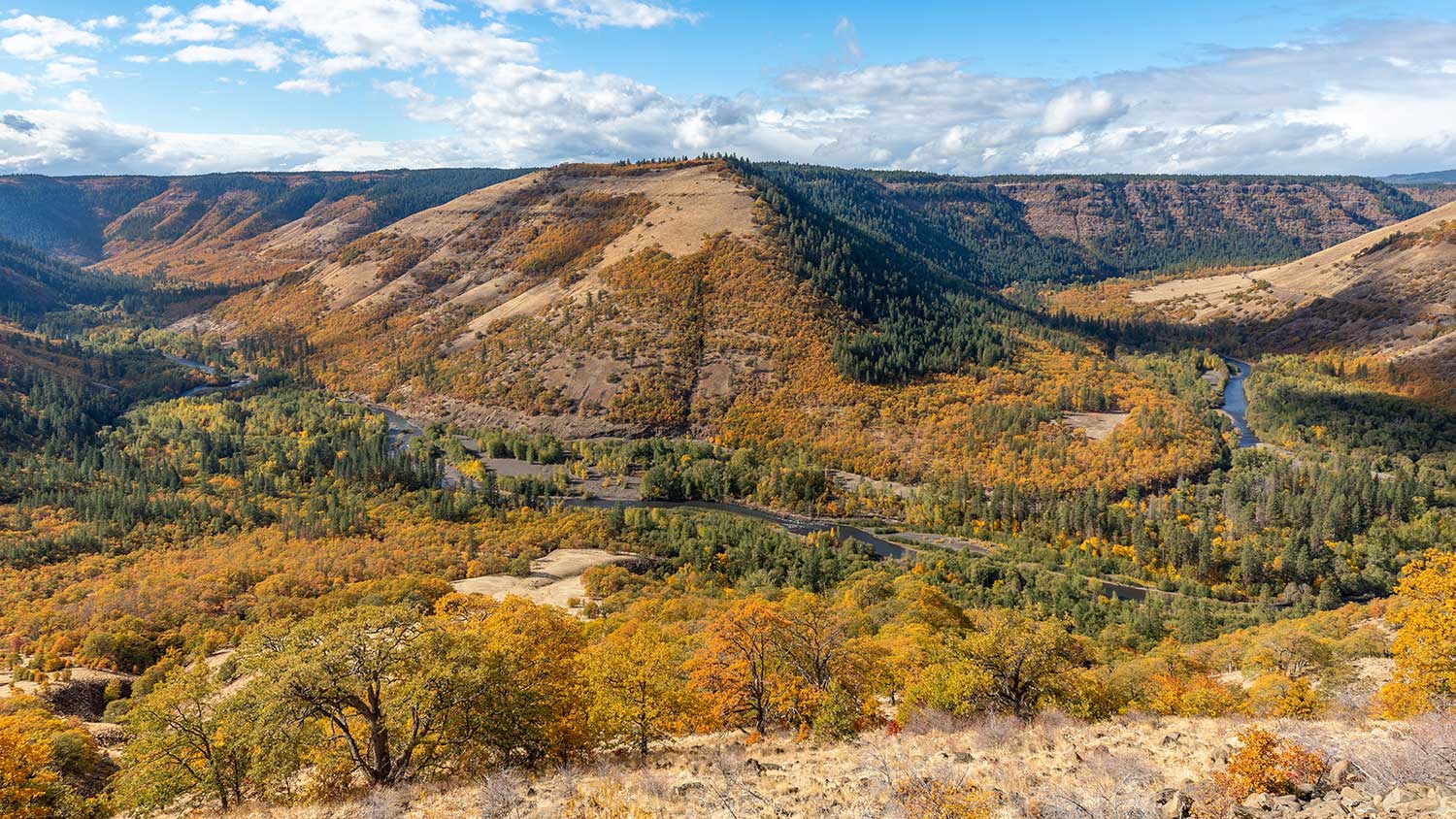 Pacific Northwest Oak Alliance - Pacific Northwest Oak Alliance