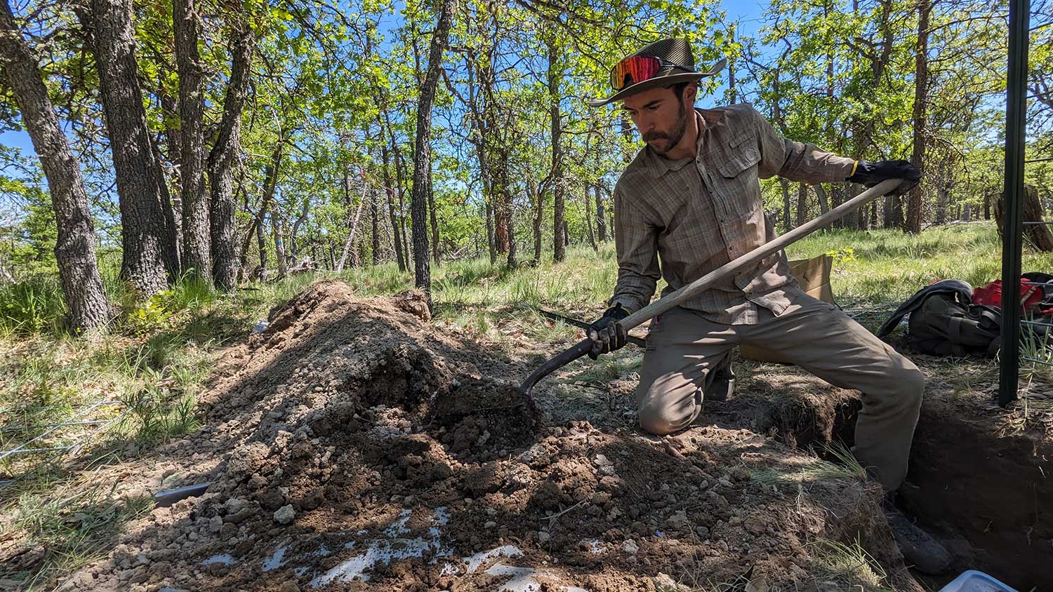 Monitoring East Cascades Oaks - Pacific Northwest Oak Alliance