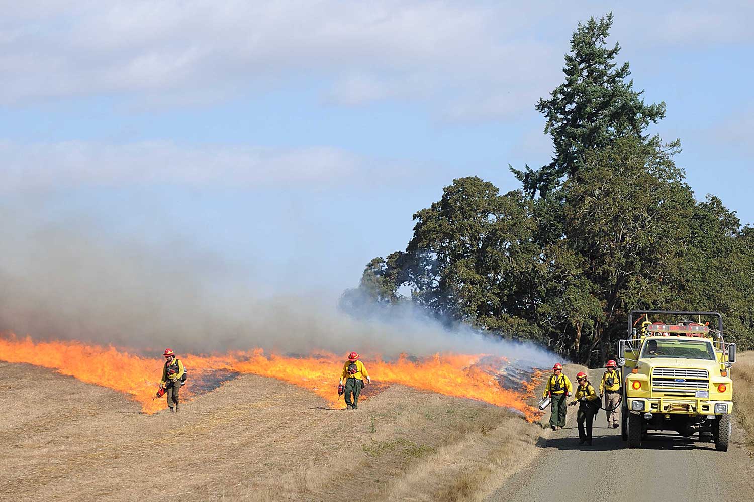 Frequent, Low-intensity Fire - Pacific Northwest Oak Alliance