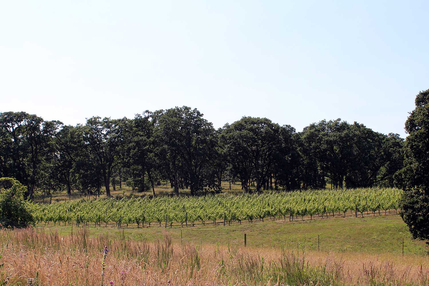 Umpqua Oak Accord - Pacific Northwest Oak Alliance