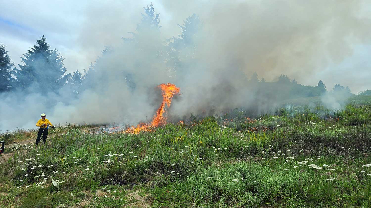 Umpqua Prescribed Burn Association - Pacific Northwest Oak Alliance
