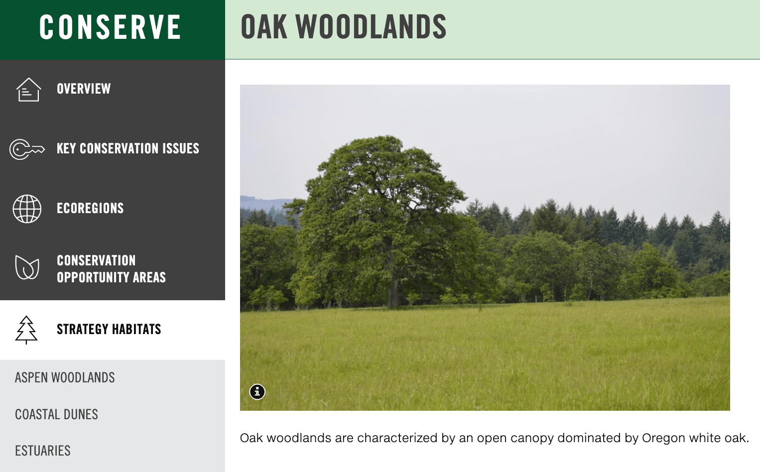 Willamette Valley Oak And Prairie Cooperative Archives - Pacific ...