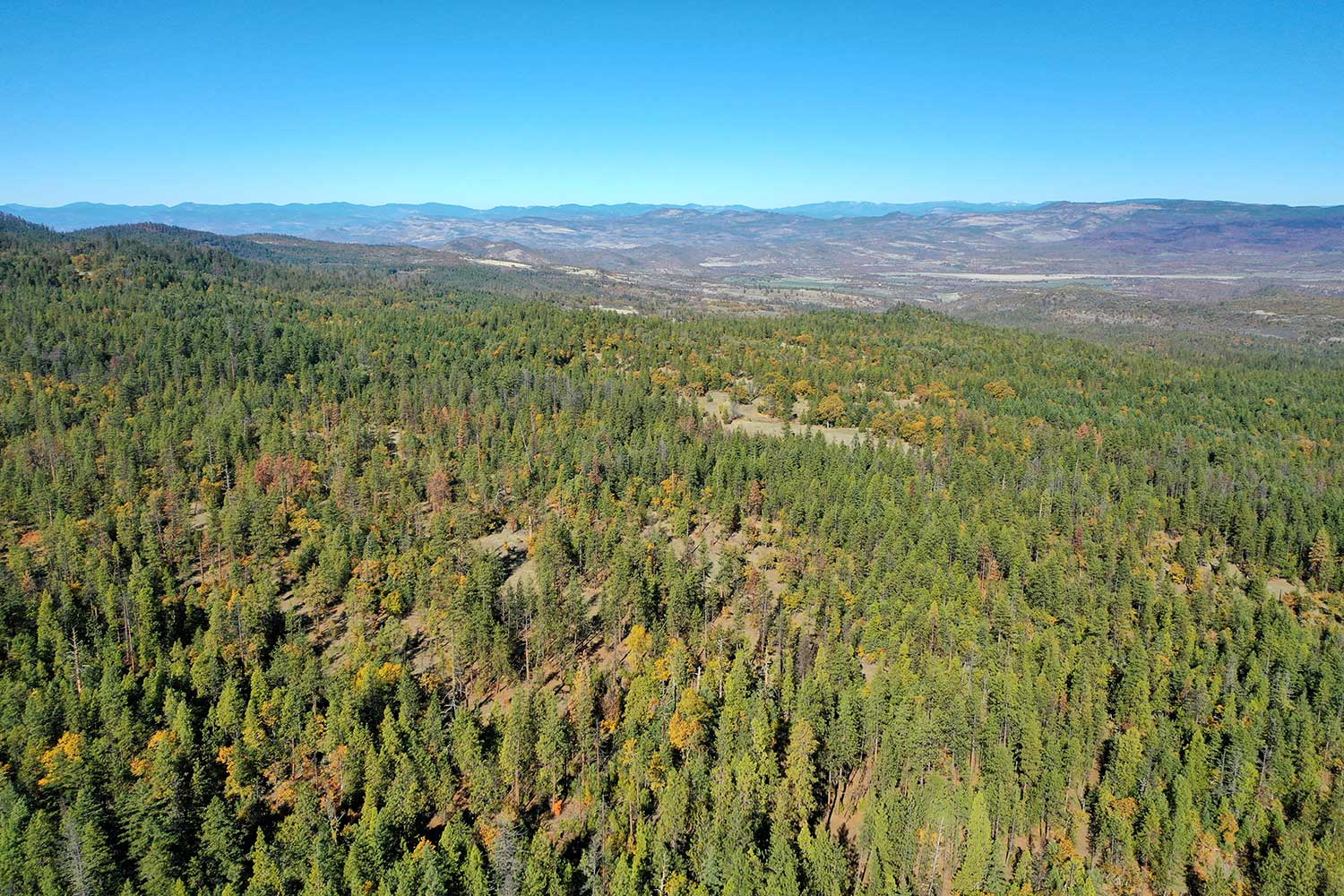 Upper Rogue Oak Initiative - Pacific Northwest Oak Alliance