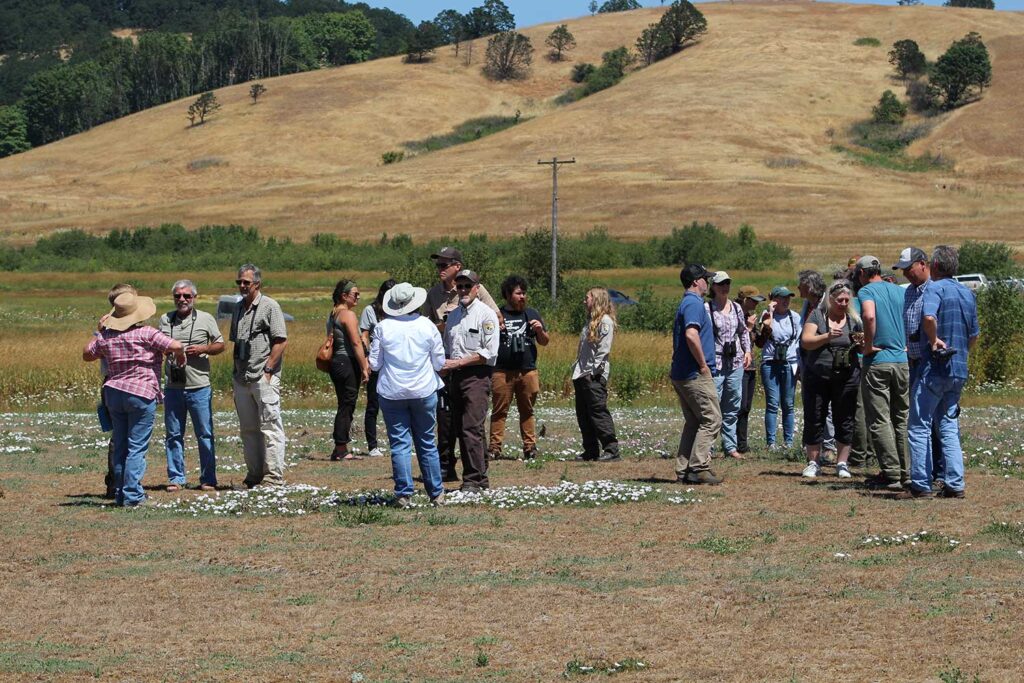 About Oak Alliance - Pacific Northwest Oak Alliance