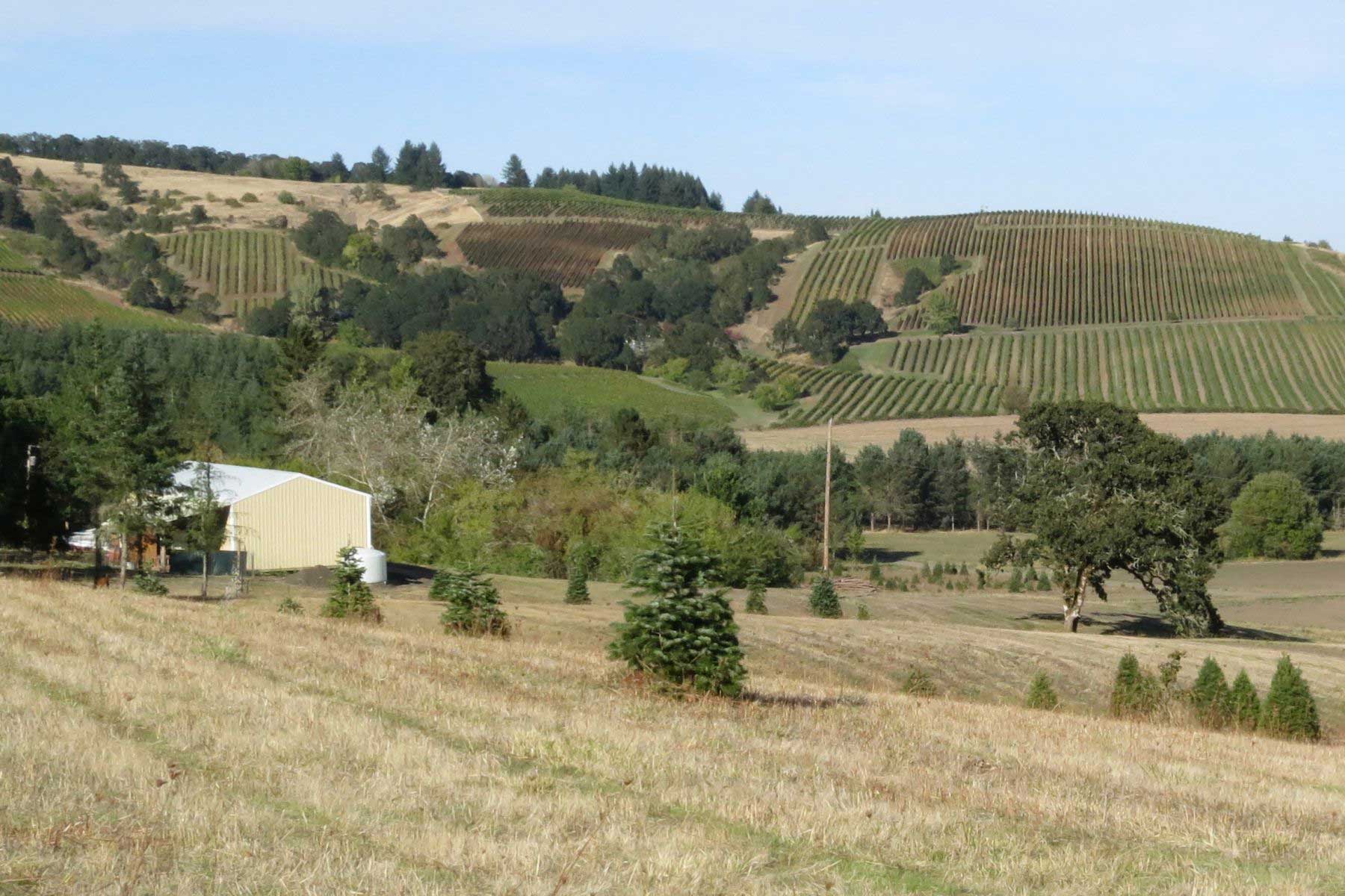 Threats & Opportunities - Pacific Northwest Oak Alliance