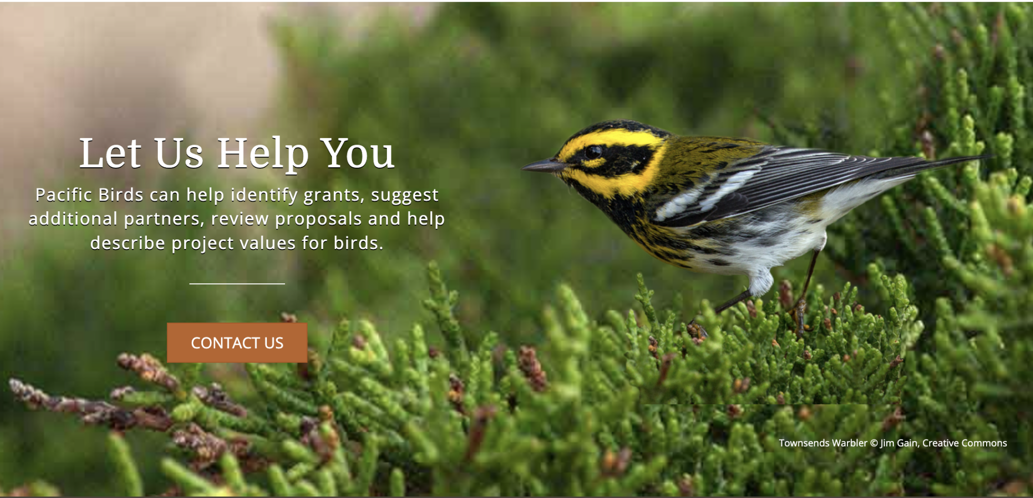 Resources Archive - Pacific Northwest Oak Alliance