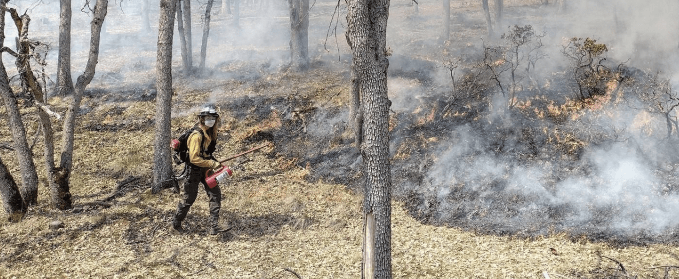 Willamette Valley Oak And Prairie Cooperative Archives - Pacific ...