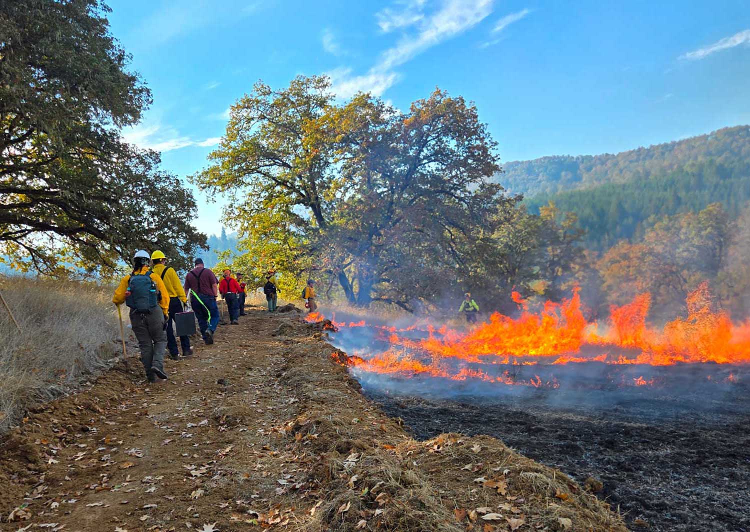 Workforce Development - Pacific Northwest Oak Alliance