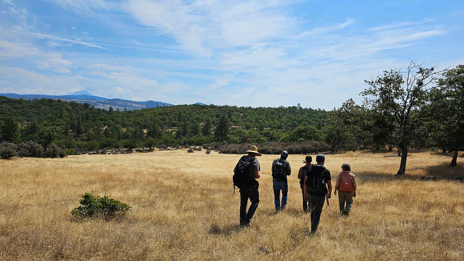 Partners - Pacific Northwest Oak Alliance