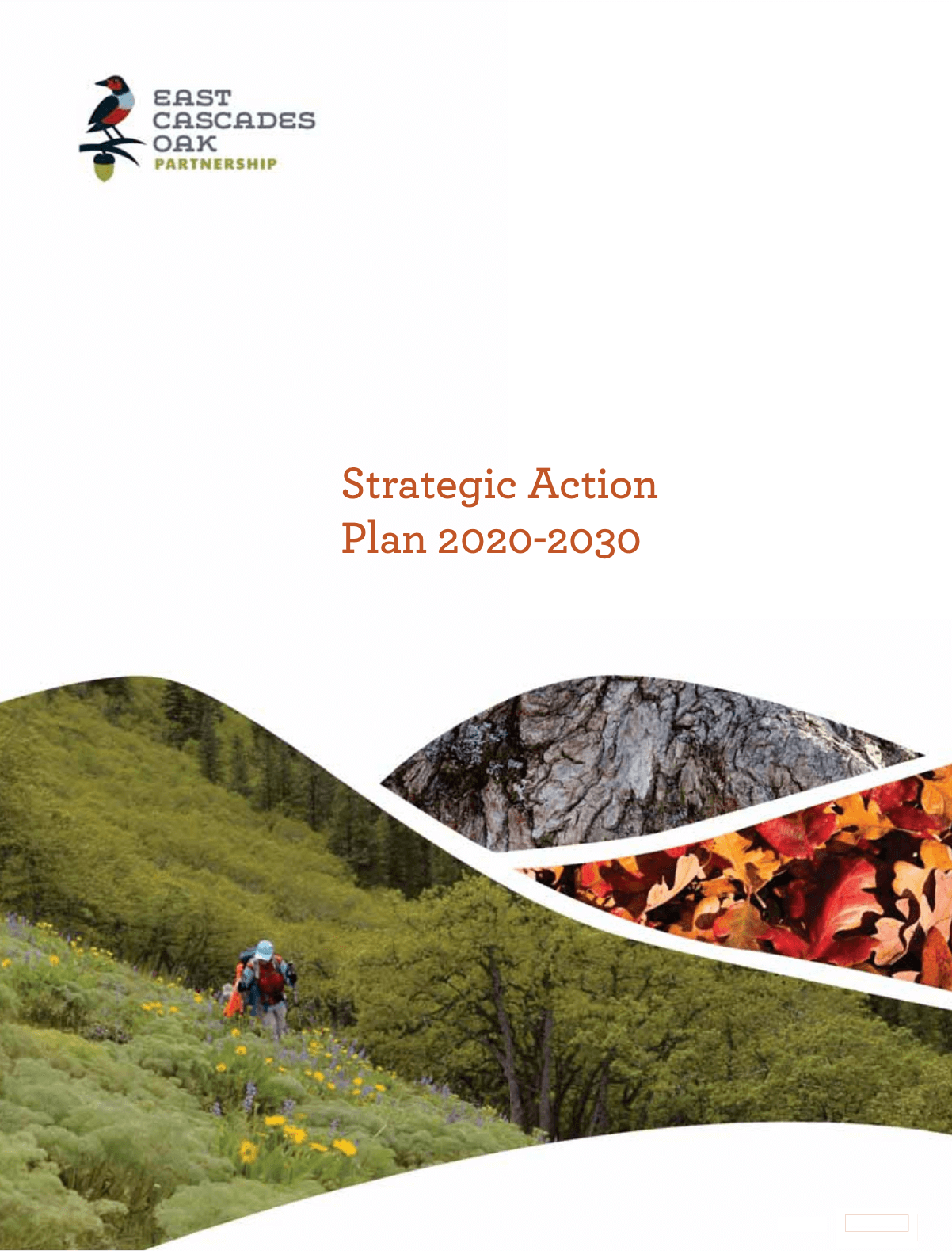 Resources Archive - Pacific Northwest Oak Alliance